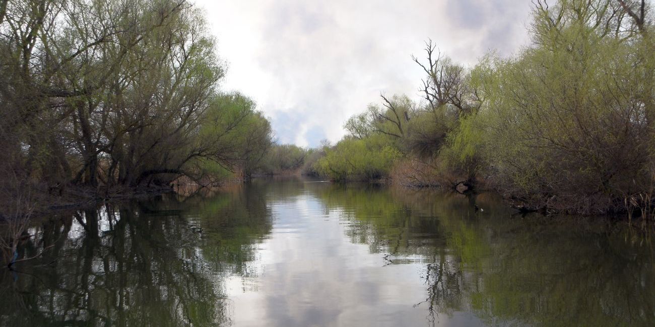 Hotel Lebada Luxury Resort & Spa 5* Delta Dunarii Romania