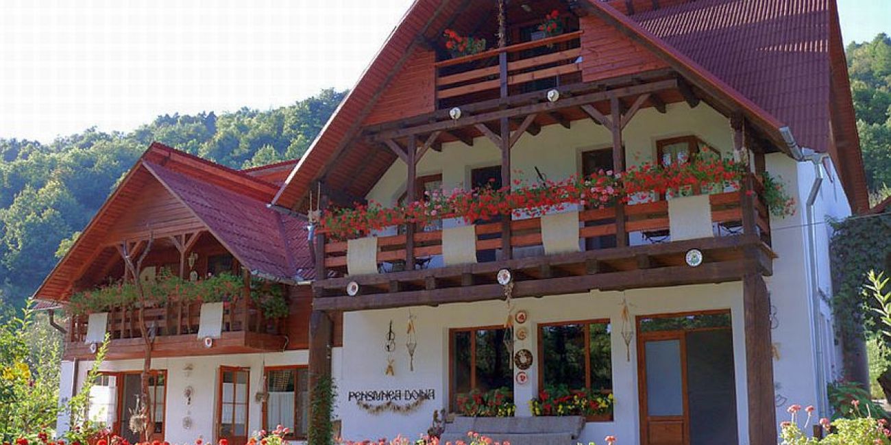 Pensiunea Doina 3* Maramures Romania